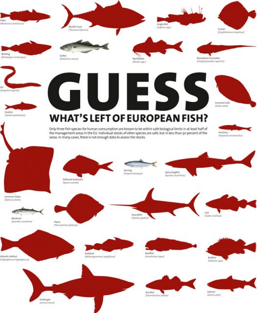 Graphic: Guess what's left of European fish? - ICIJ