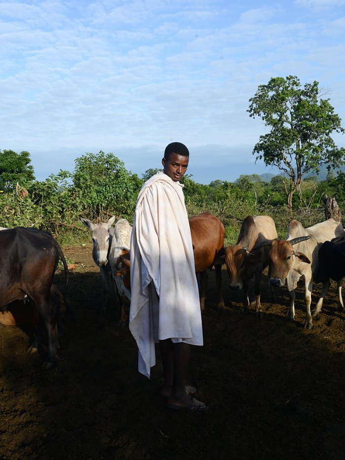 World Bank Allows Tanzania To Sidestep Rule Protecting Indigenous ...