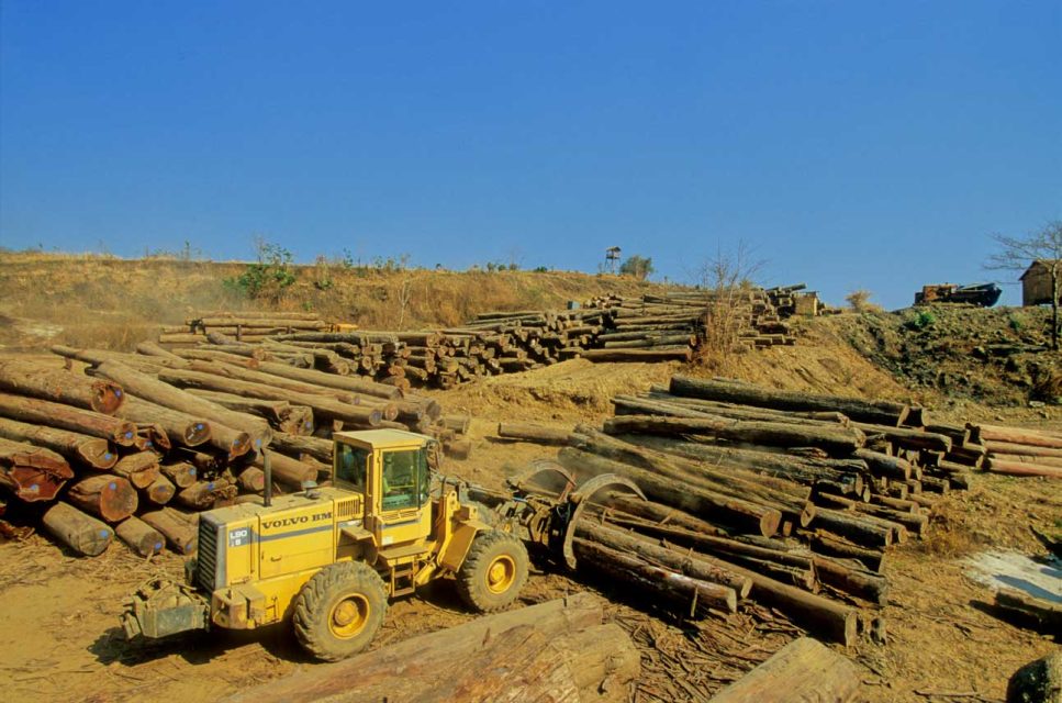 Western firms certified as socially responsible trade in Myanmar teak ...