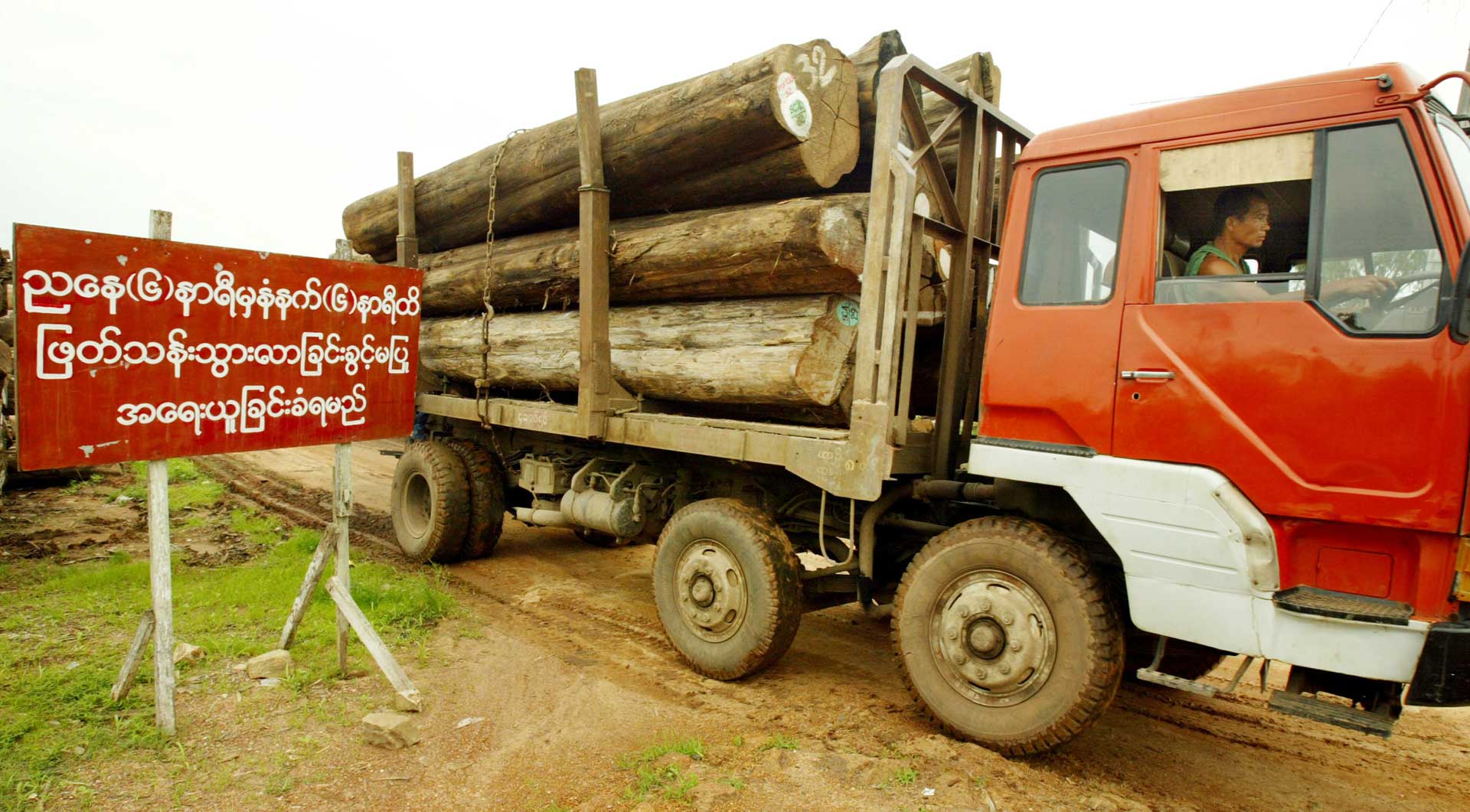 Western firms certified as socially responsible trade in Myanmar teak ...