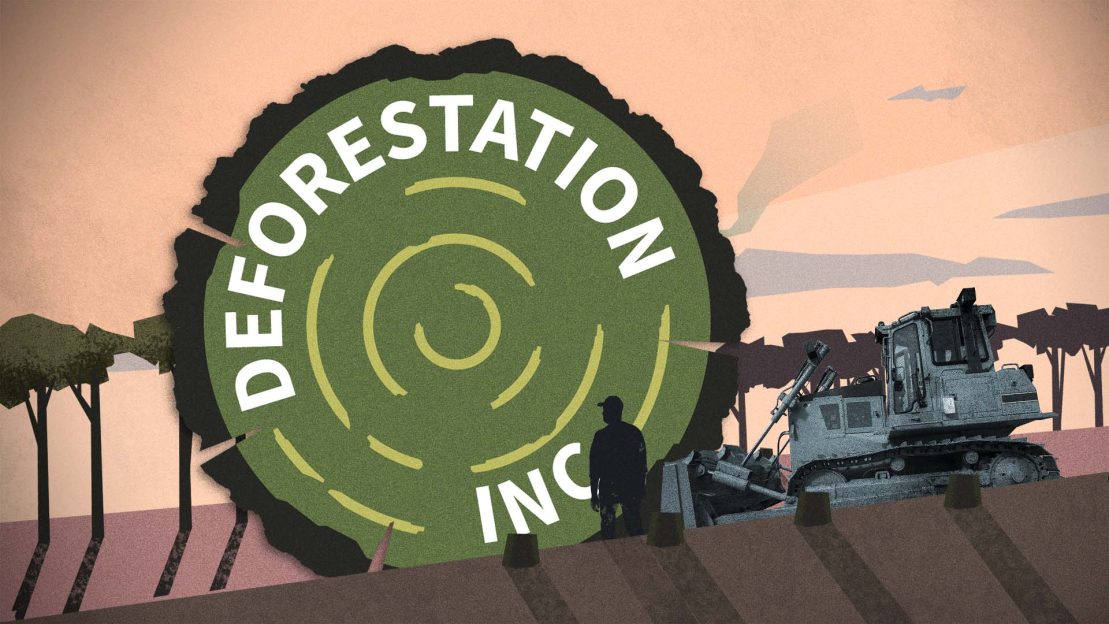 Frequently asked questions about the Deforestation Inc. investigation ...