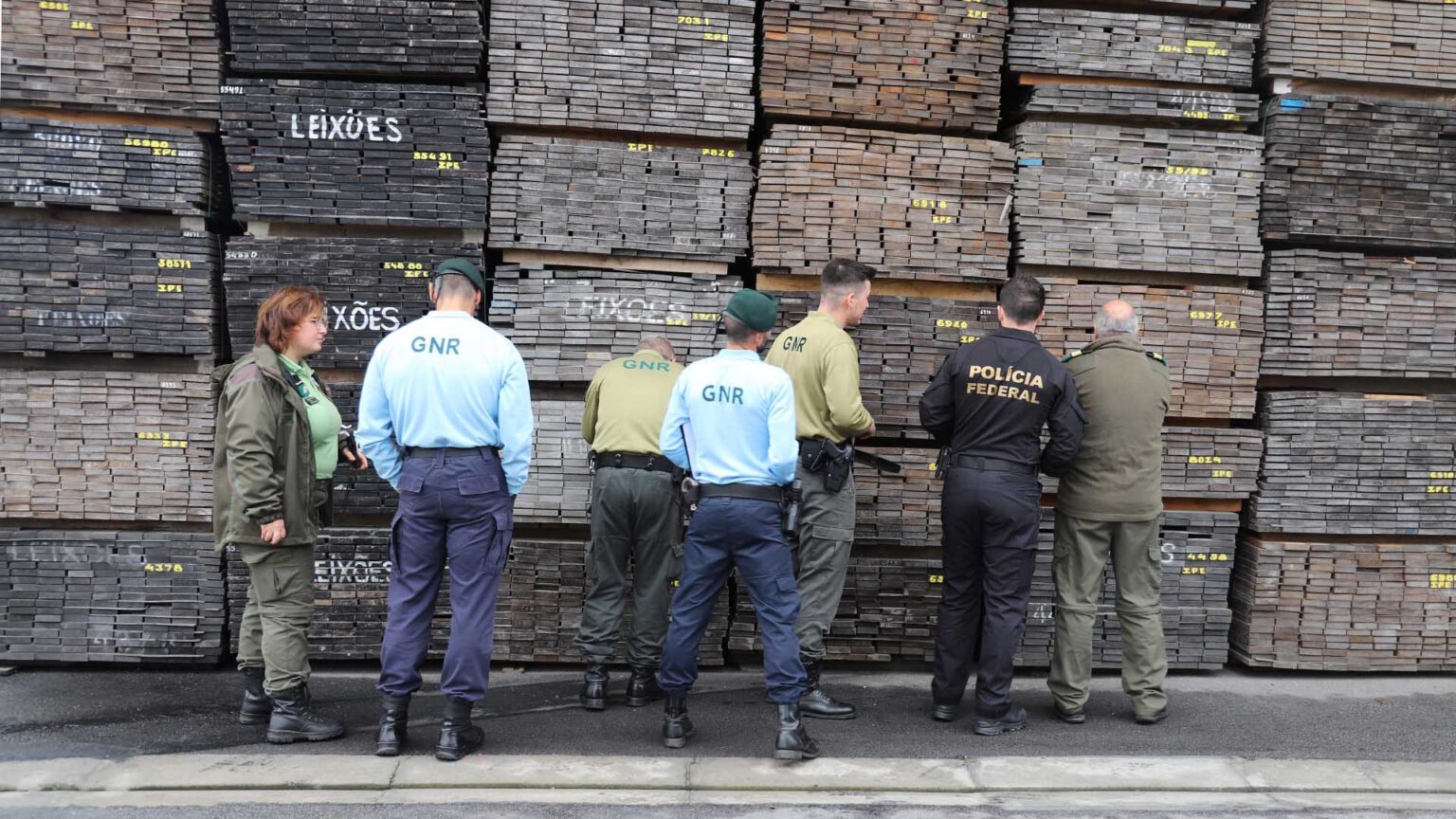 Myanmar’s controversial timber trade persists, despite Western ...