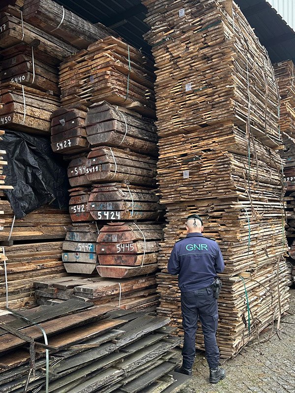 Myanmar’s controversial timber trade persists, despite Western ...