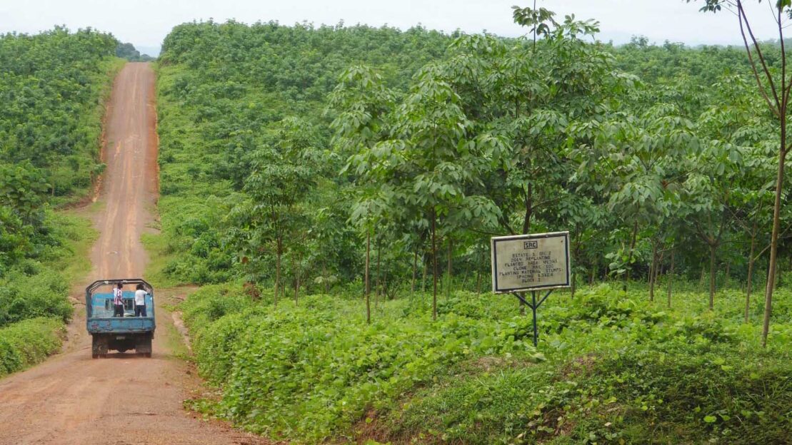 As IFC delayed a damning report on a Liberian rubber plantation, the ...